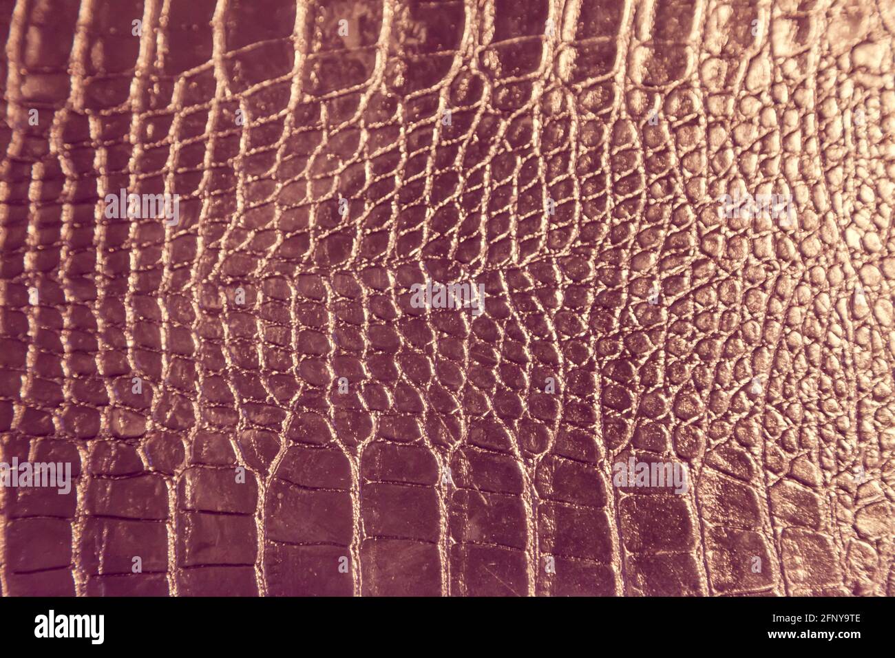 snake skin in black colour Stock Photo - Alamy