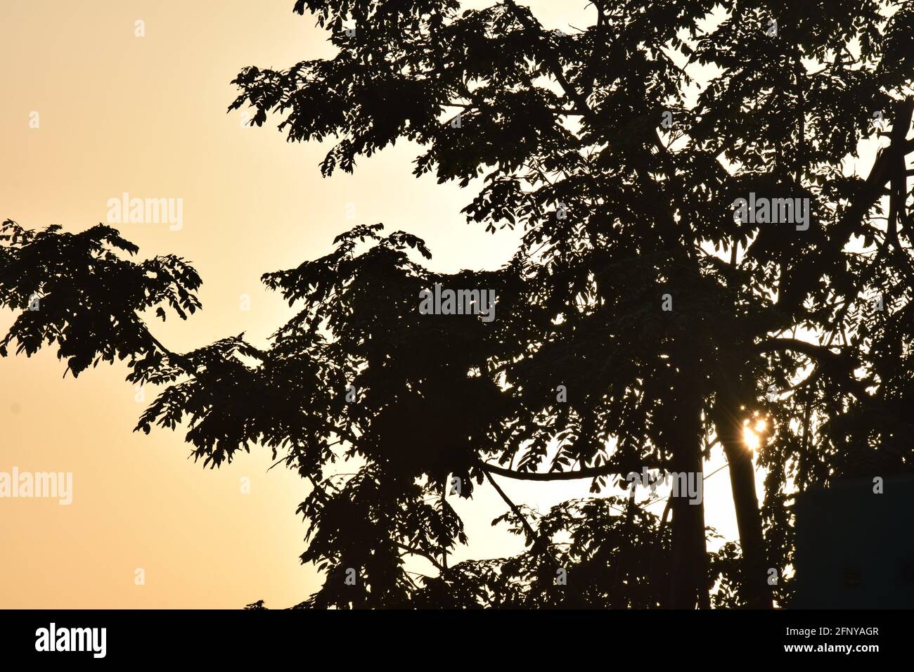 Best moments nature hi-res stock photography and images - Alamy