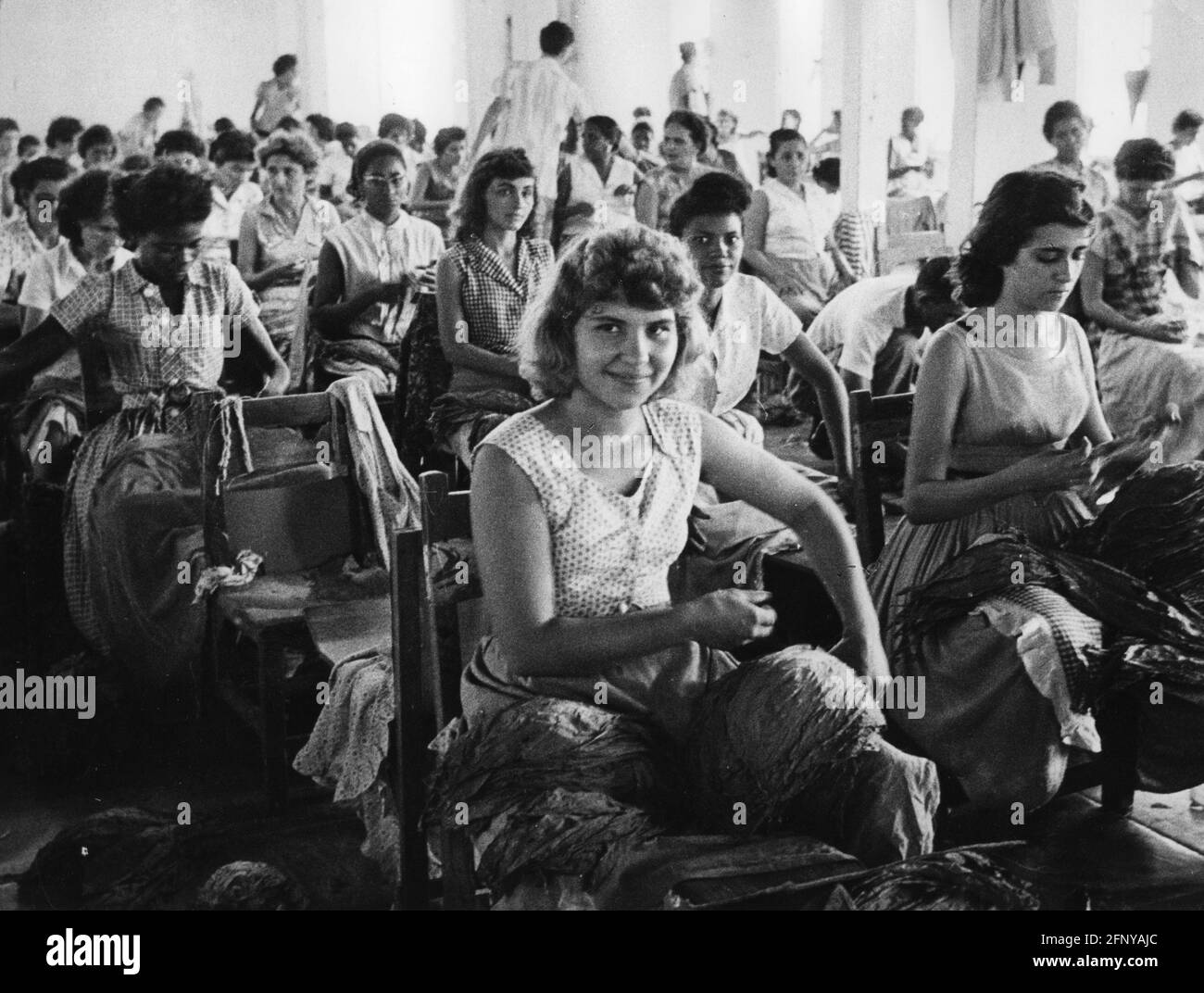 geography/travel, Cuba, industry, tobacco, working women in the ...