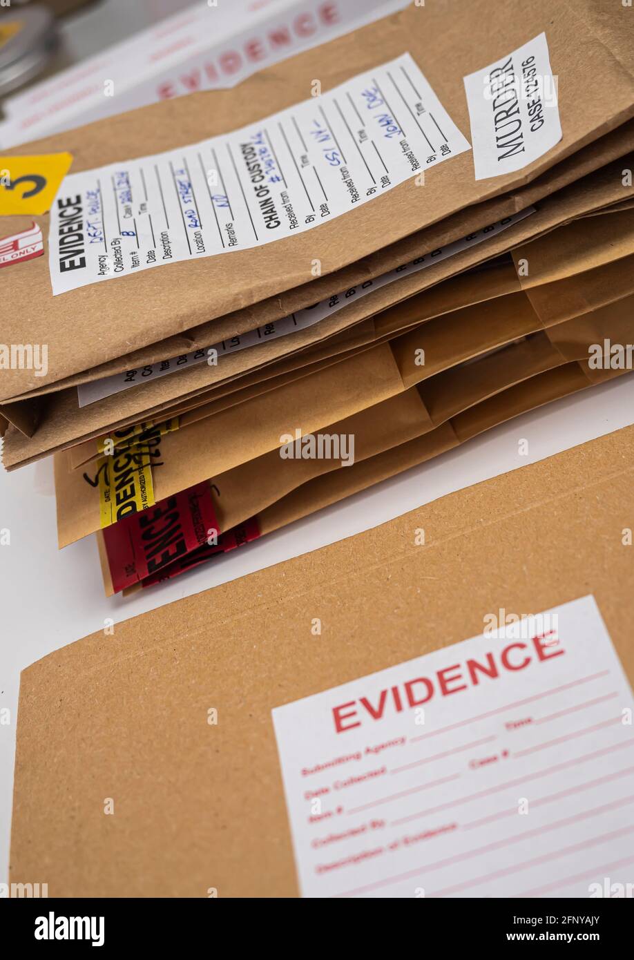 Files and evidence bag in a crime lab, conceptual image Stock Photo - Alamy