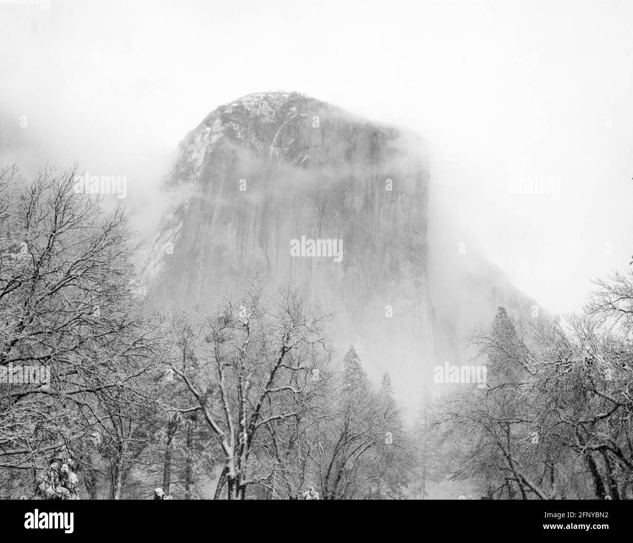 The iconic granite rock face of El Capitan looming over a misty ...