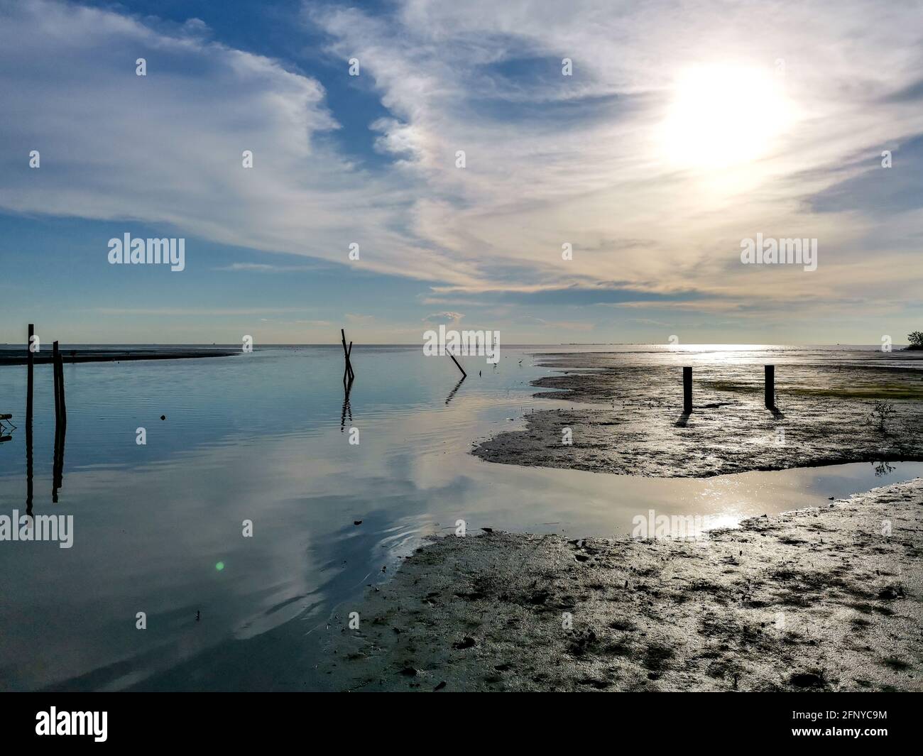 Scenic seascape, sunset and branches and blue sky reflection on low ...