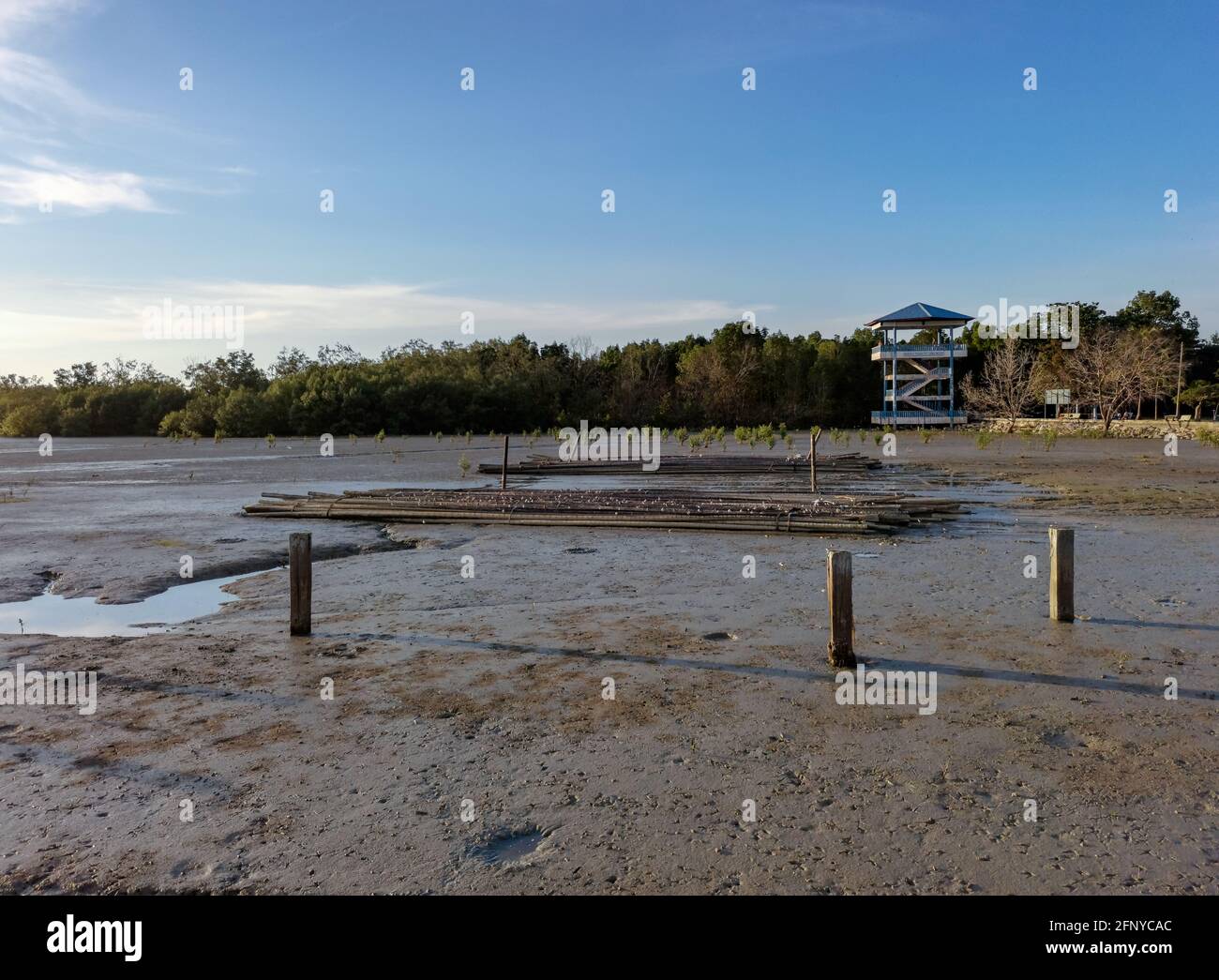 Scenic seascape, landscape view of low tide muddy swamp beach with ...