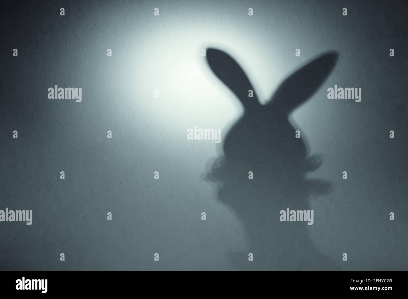 Abstract unfocused shadow of a rabbit on a gray-blue background. The ...