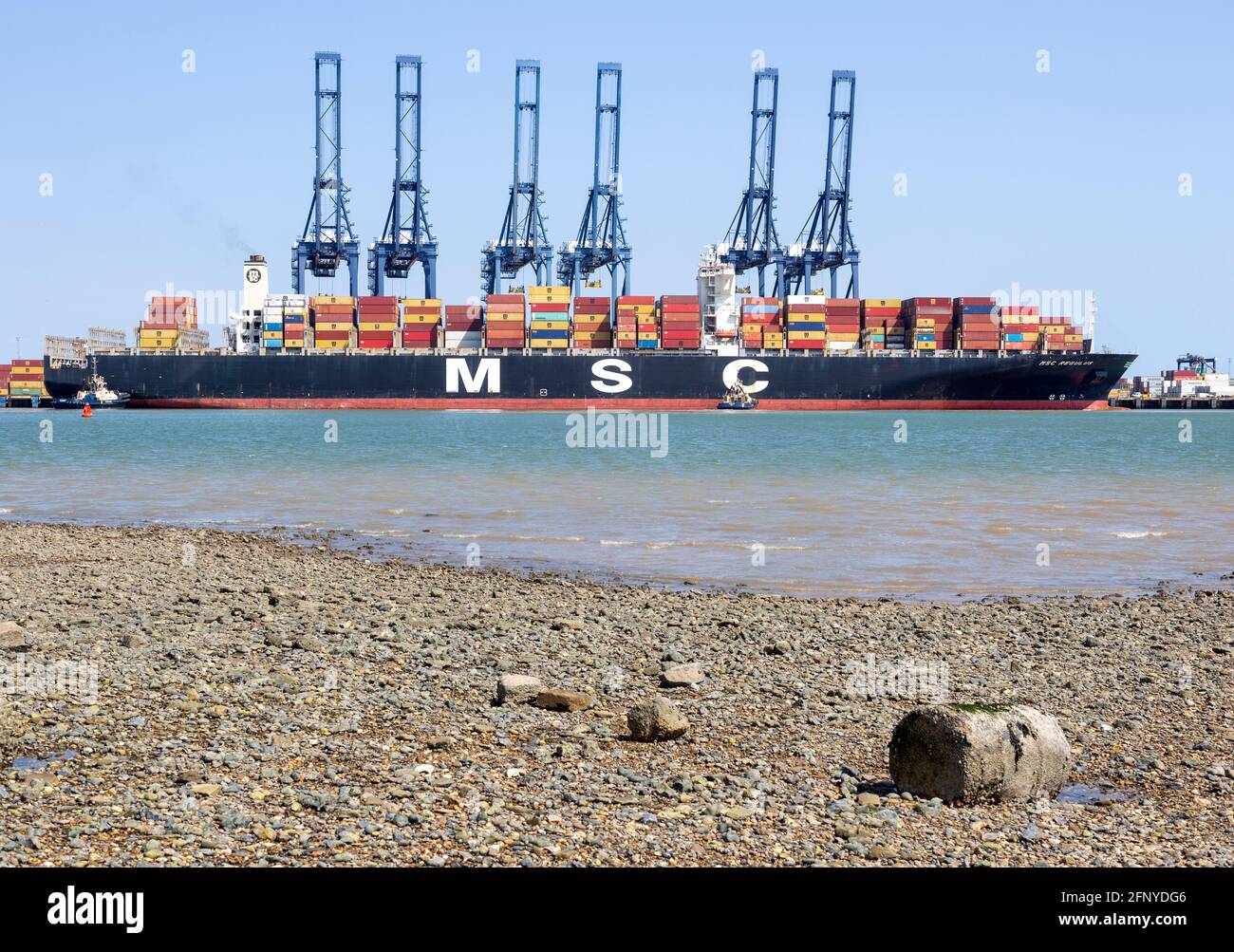 MSC Regulus container ship Trinity Terminal, Port of Felixstowe ...