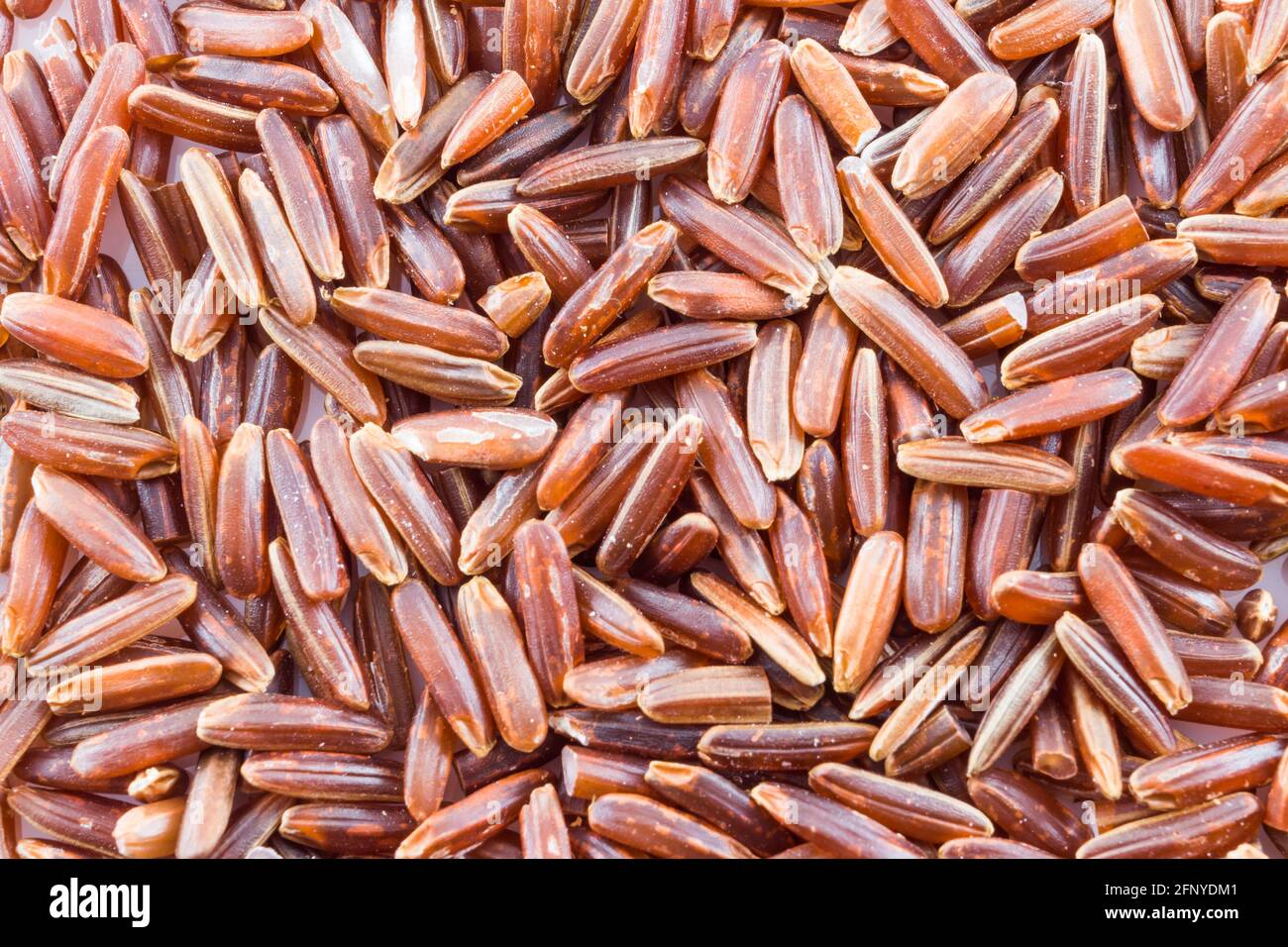 Macro / Close up brown rice background Stock Photo - Alamy