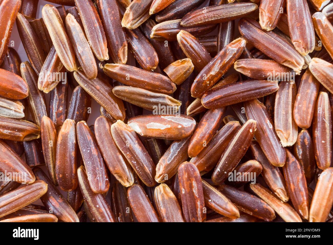 Macro / Close up brown rice background Stock Photo - Alamy
