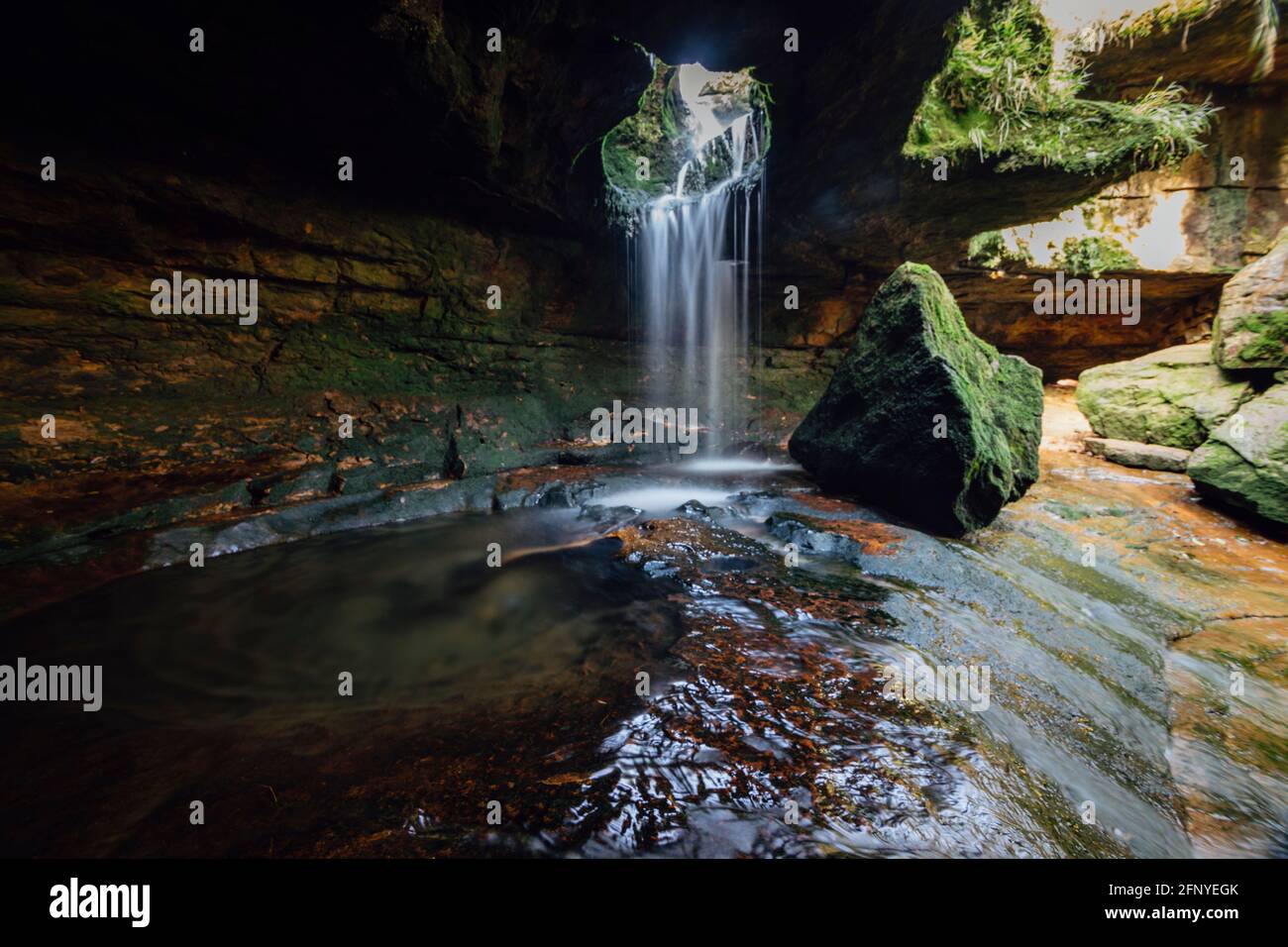 Living root bridge india hi-res stock photography and images - Alamy