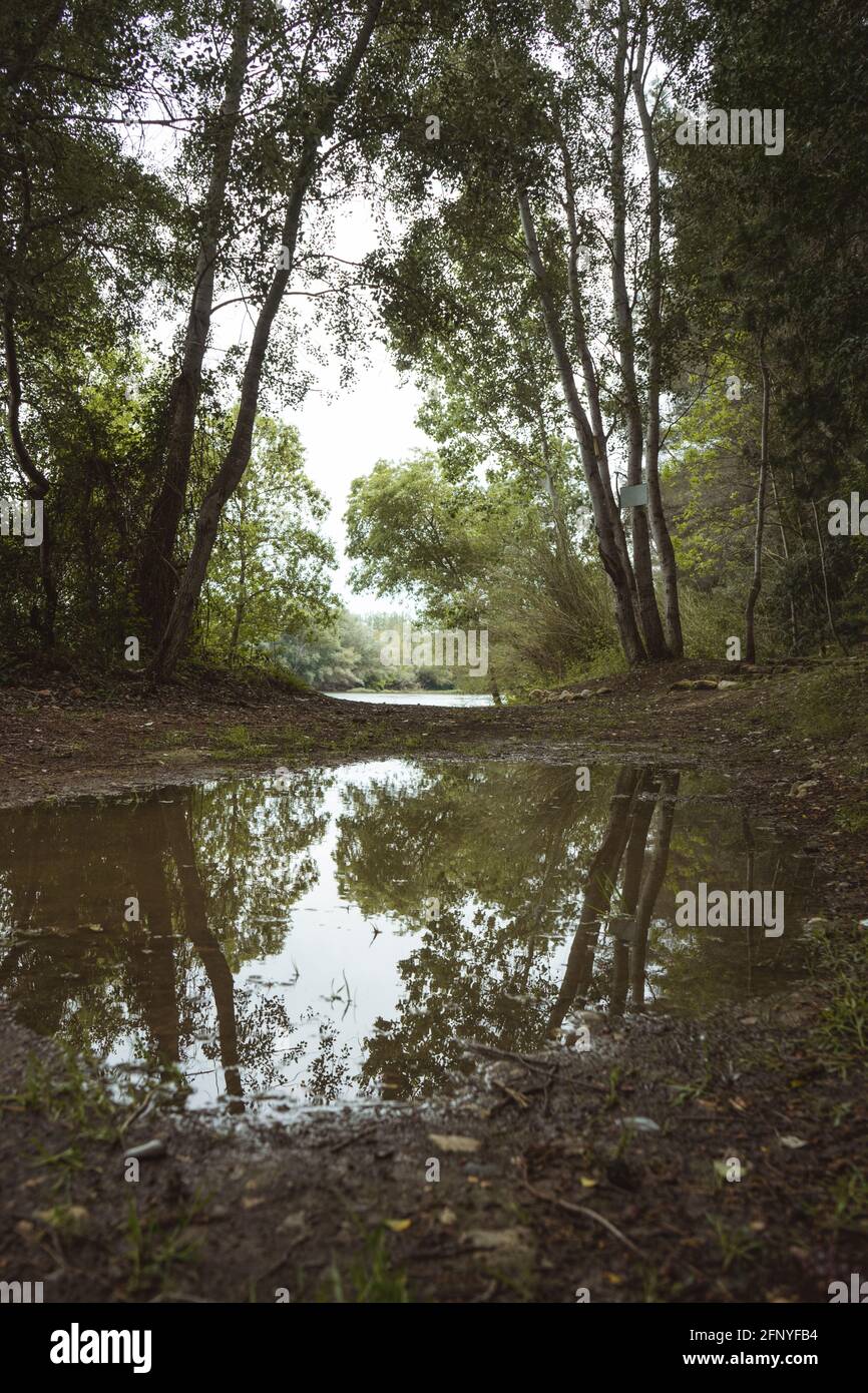 Puddle in the middle of a lane hi-res stock photography and images - Alamy