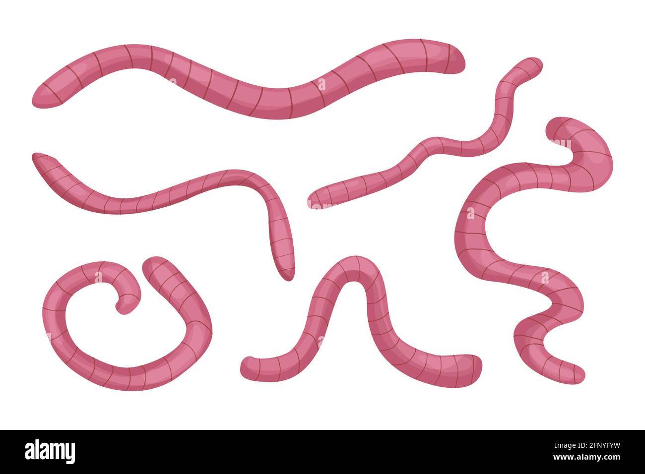 Earthworm in nature Stock Vector Images - Alamy