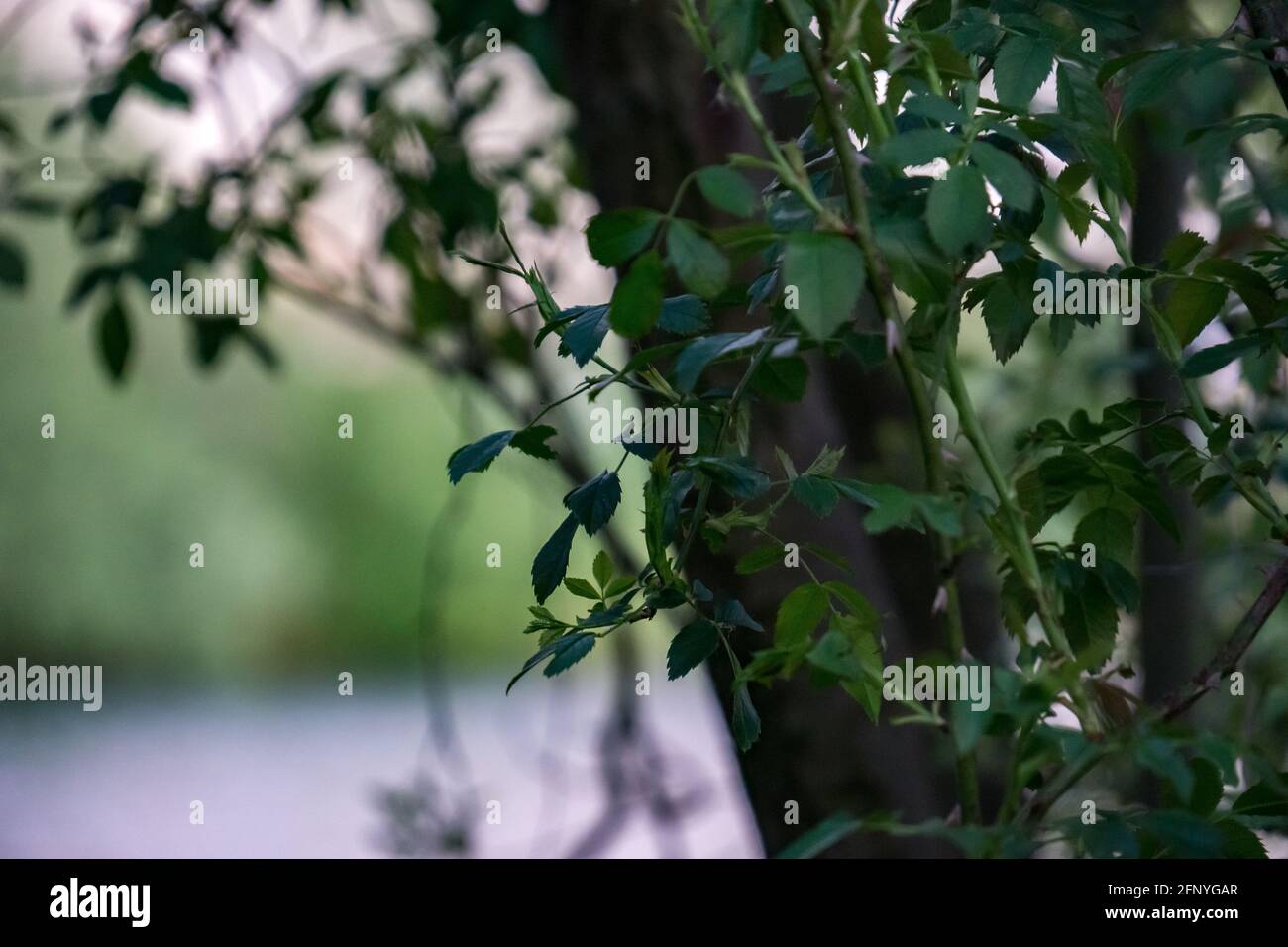 Balderton hi-res stock photography and images - Alamy