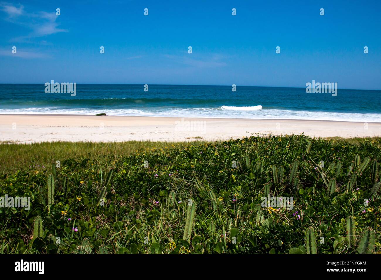 Jacone beach hi-res stock photography and images - Alamy