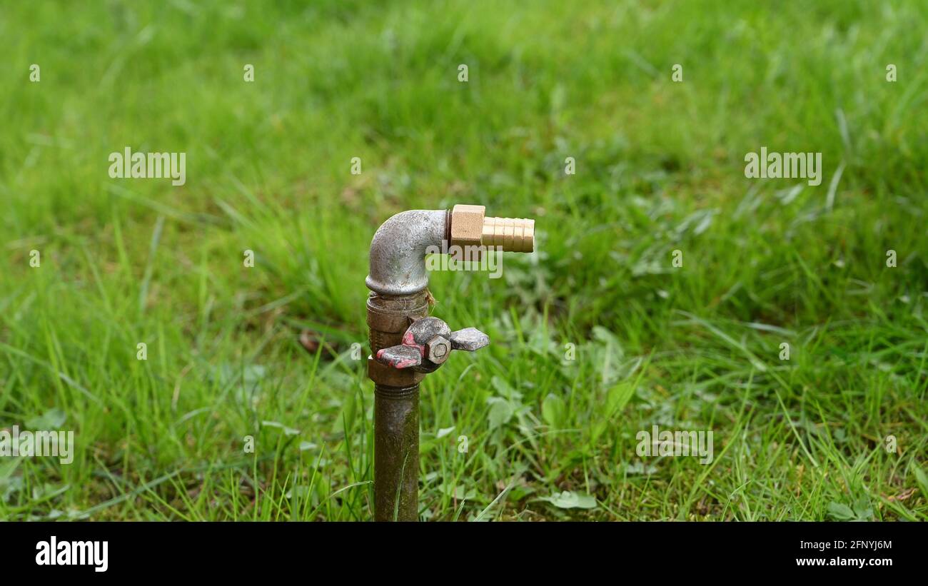 Hand hose sprinkle watering hi-res stock photography and images - Alamy