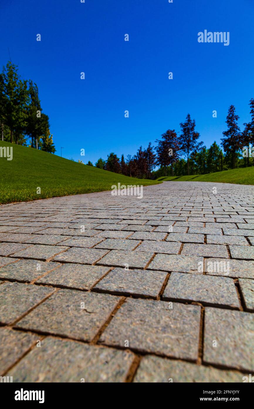 Park in the summer. Walkway and green lawn close up Stock Photo - Alamy