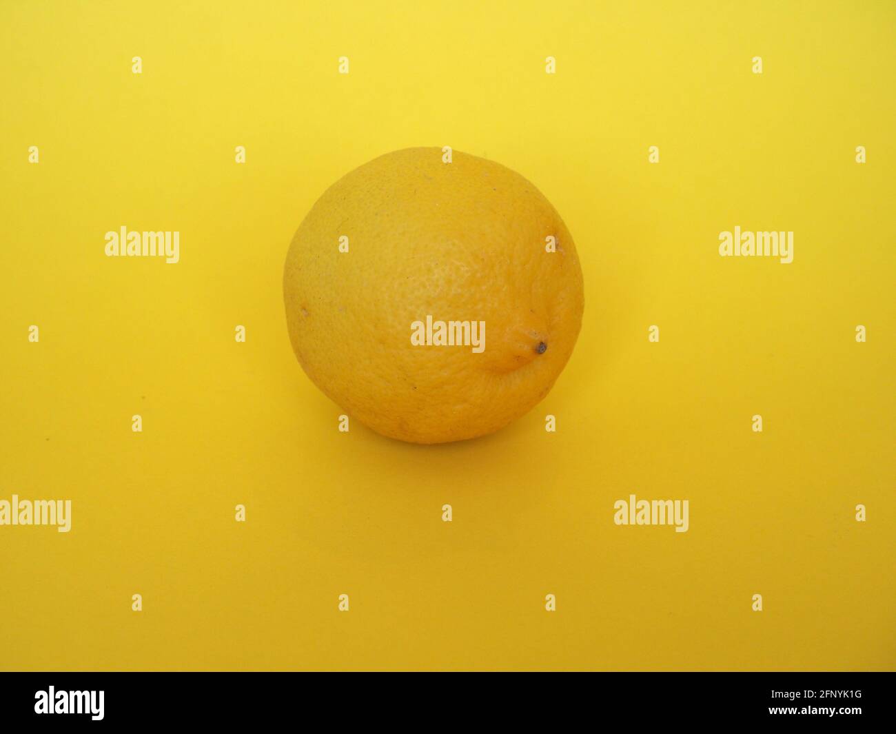 lemon fruit (scientific name Citrus limon) over yellow background Stock ...