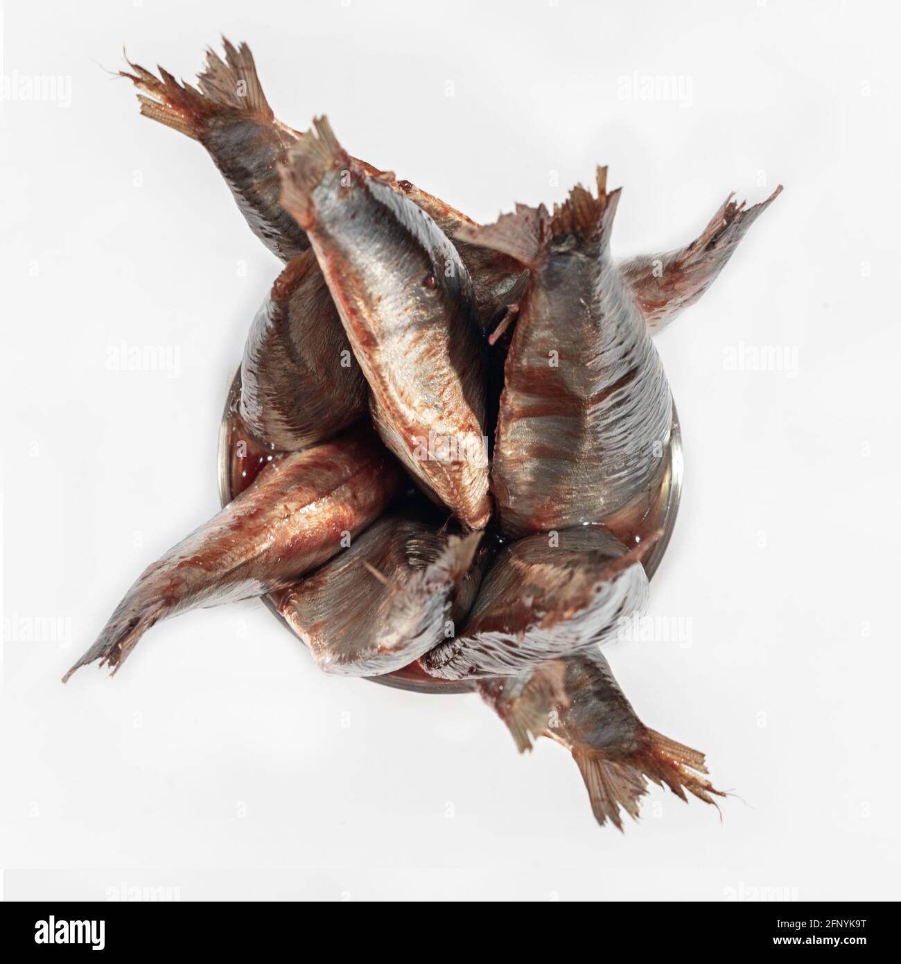 Paula cook hi-res stock photography and images - Alamy