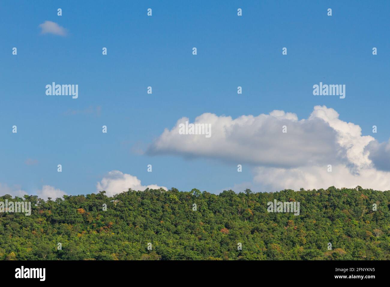 Wood backgrond hi-res stock photography and images - Alamy
