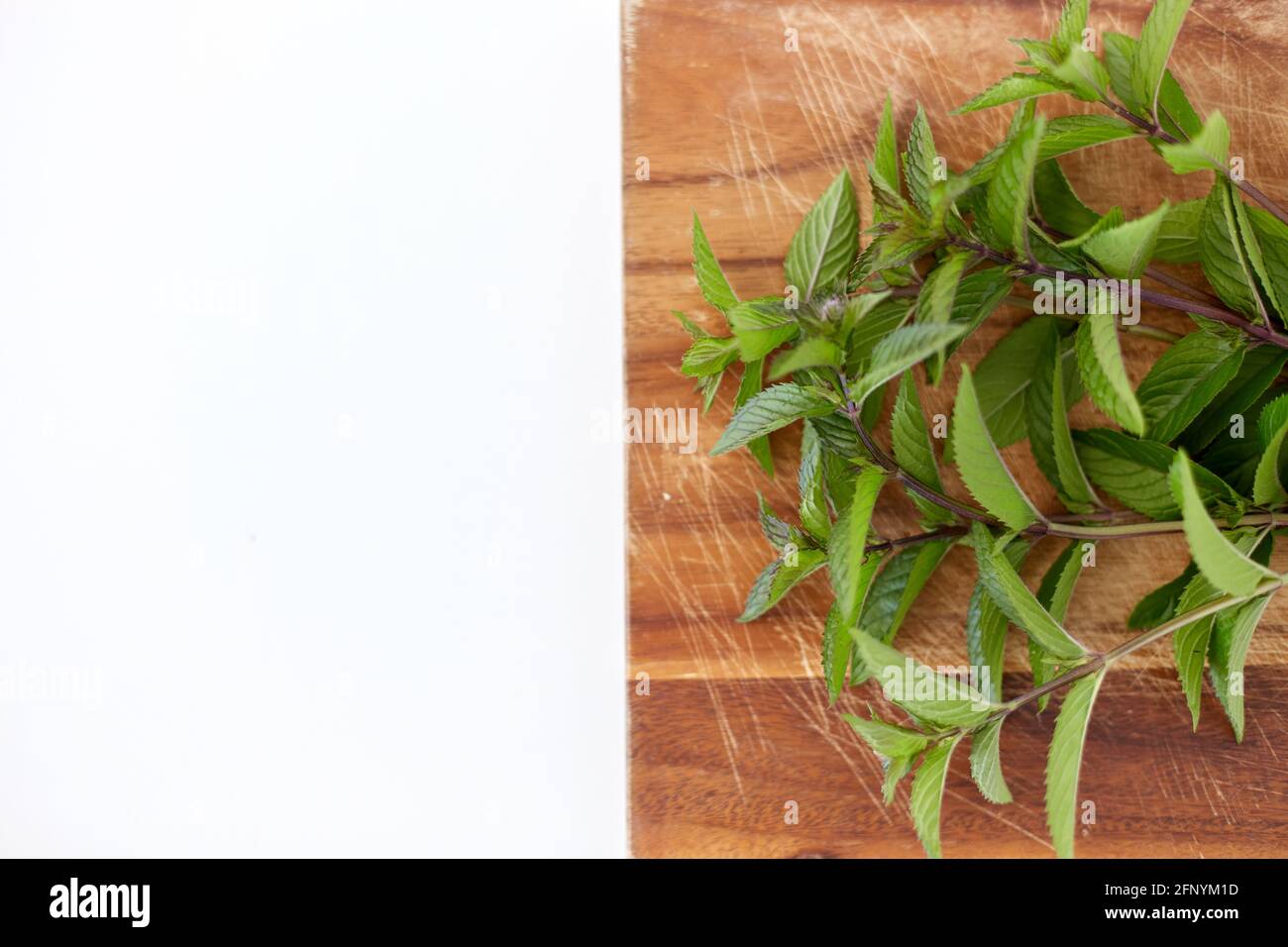 Top view peppermint plant hi-res stock photography and images - Alamy