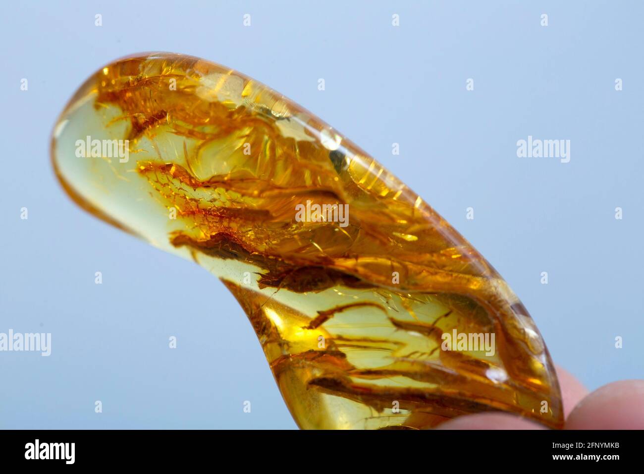 amber, mineral specimen stone rock geology gem crystal Stock Photo - Alamy