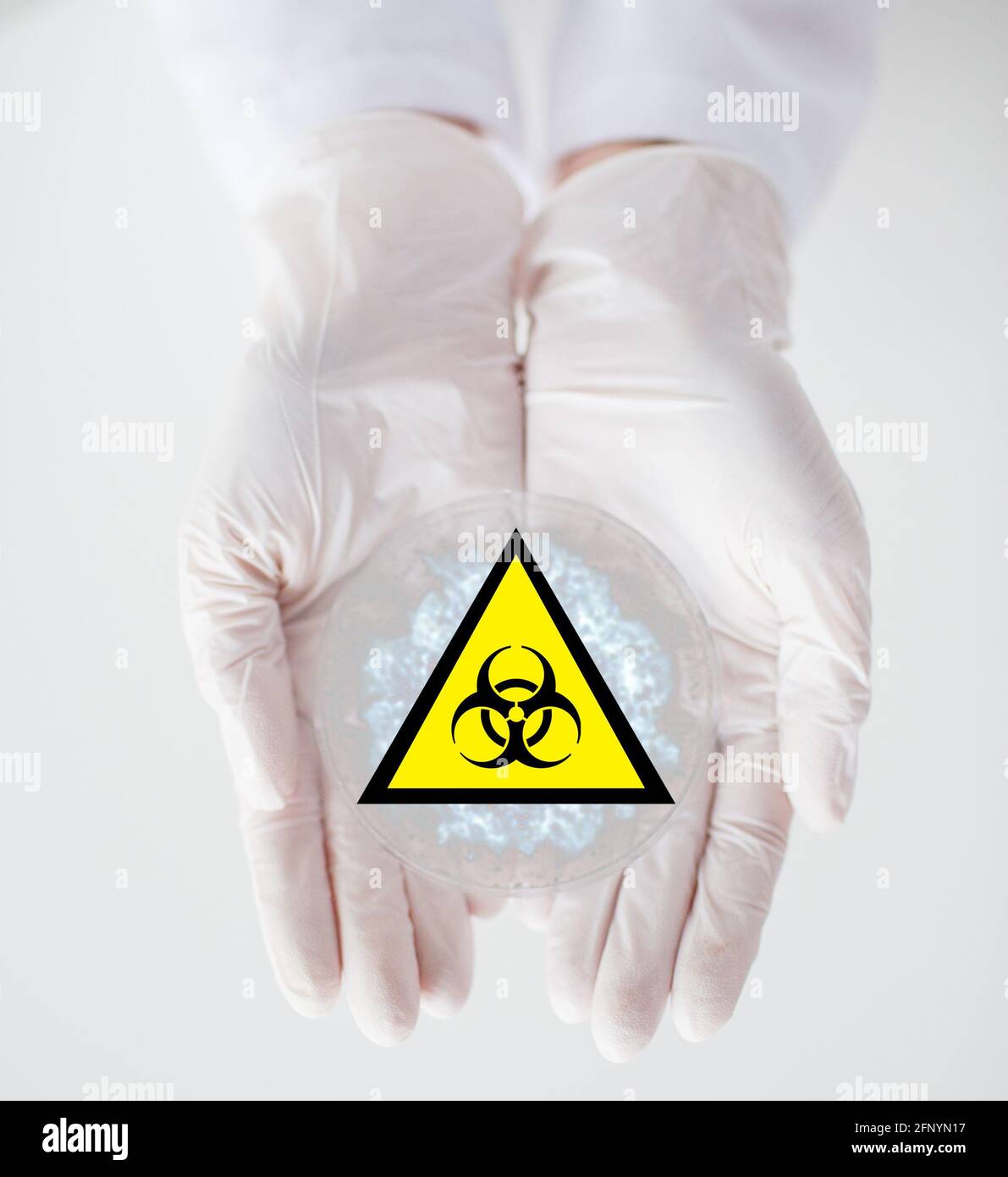 hands with test sample and boihazard caution sign Stock Photo - Alamy