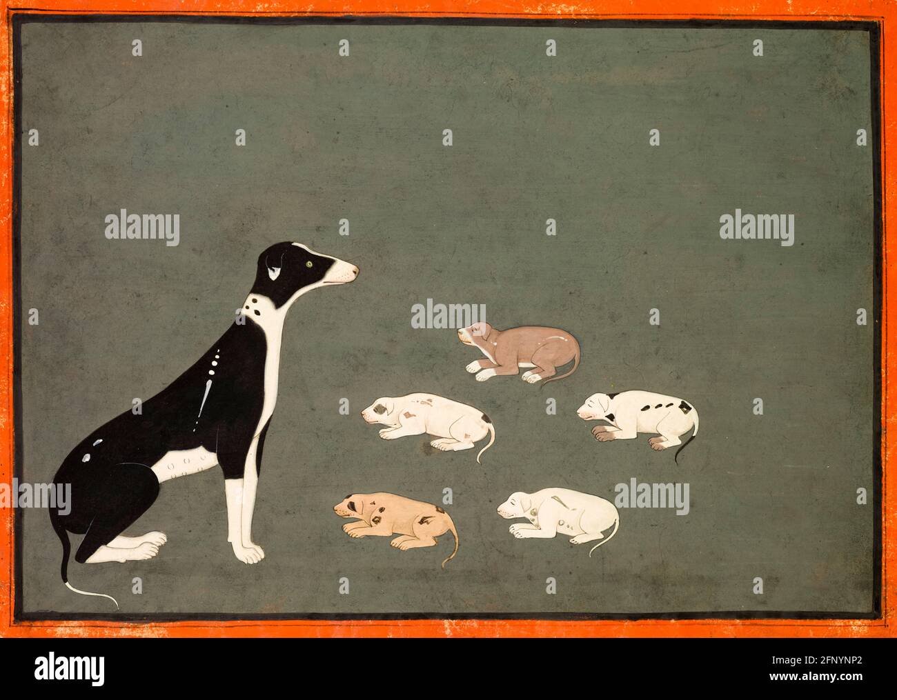 Dog with puppies, painting by Ajmer or Sarwar school, India, 18th ...