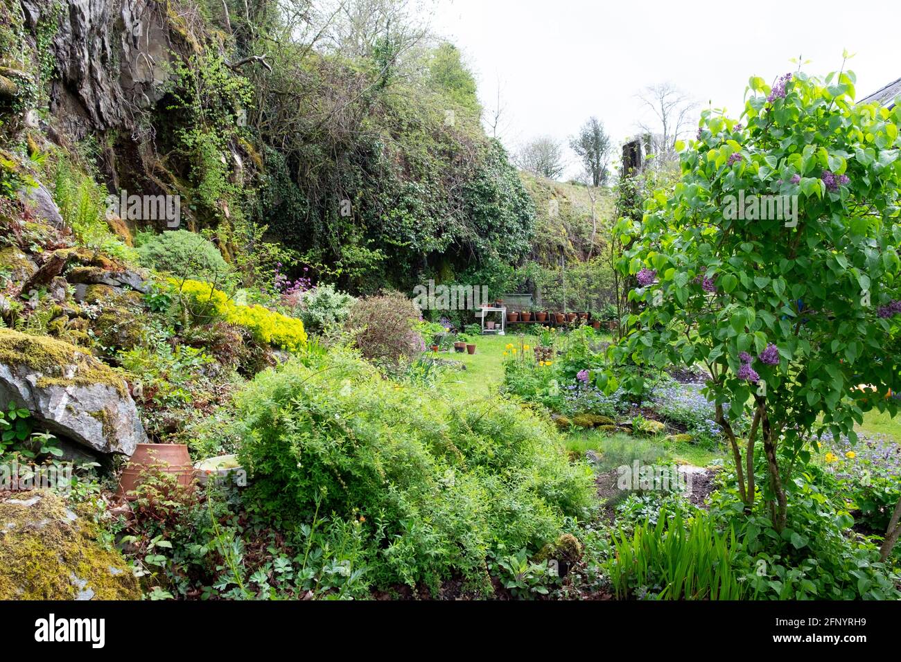 Rock garden shrubs hi-res stock photography and images - Alamy