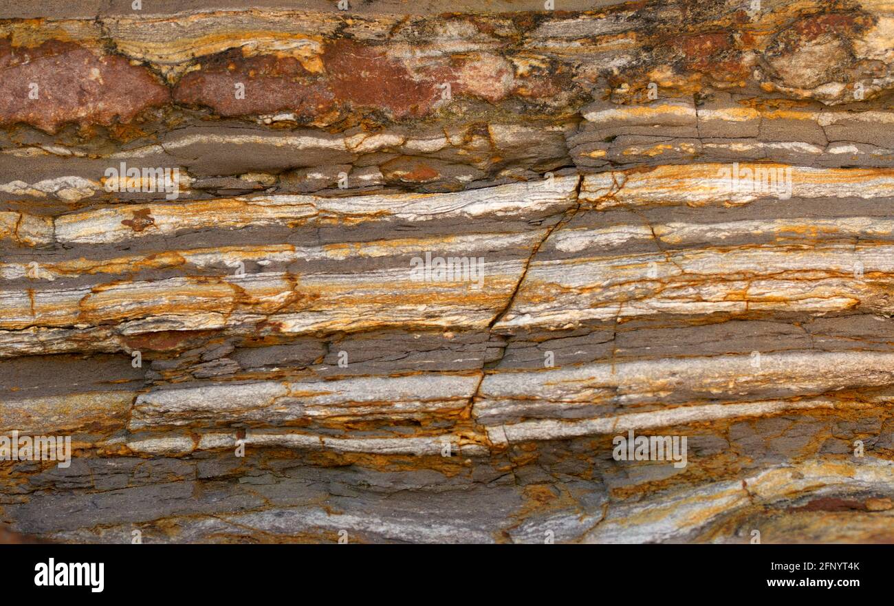 The banding of alternating layers of sandstones and fine dark mudstones ...