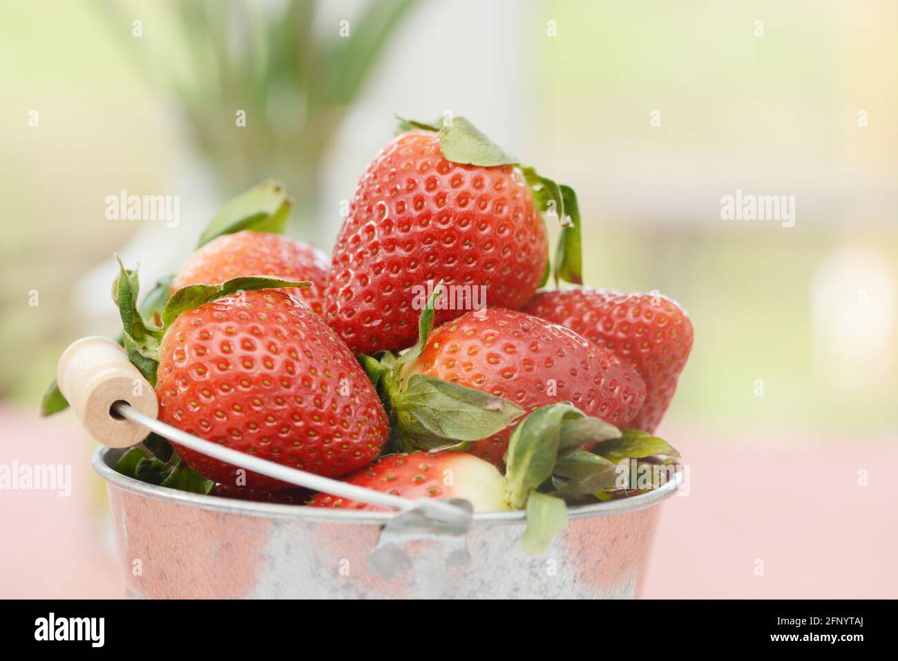 Bucket with fruits hi-res stock photography and images - Alamy