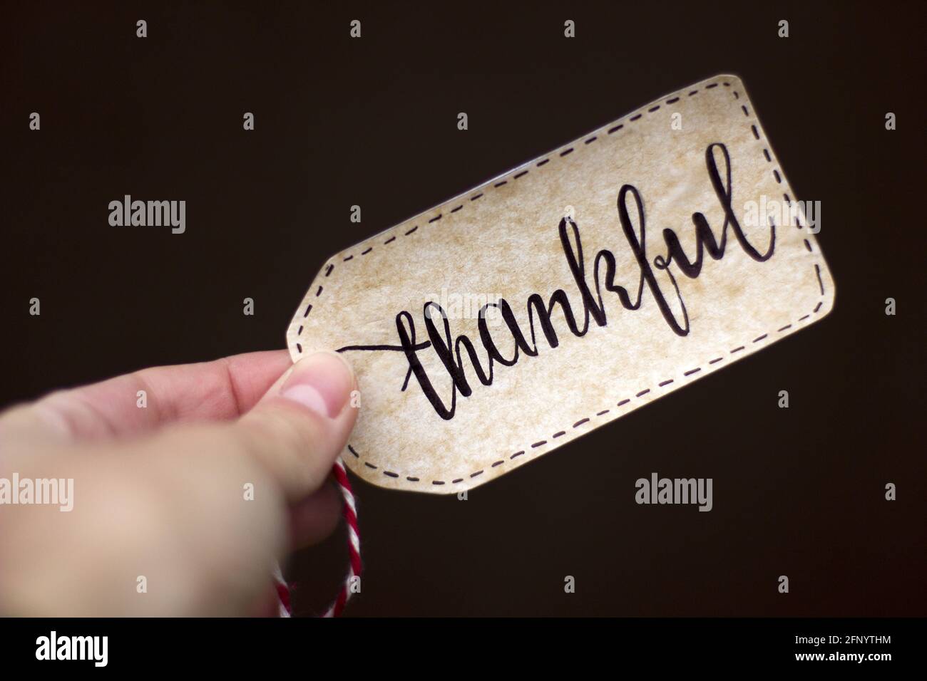The inscription "Thankful" in the hand. Thanksgiving Day Stock Photo ...