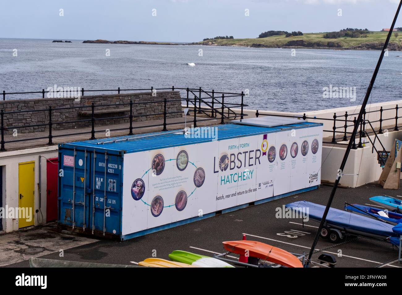 Firth of Forth Lobster Hatchery is the only operating Hatchery in ...