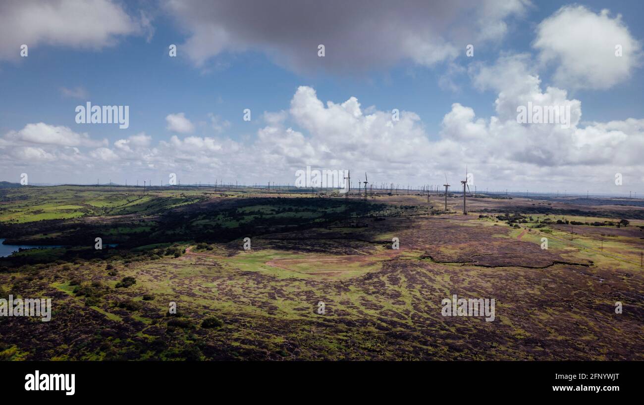 Monsoon india farm hi-res stock photography and images - Alamy