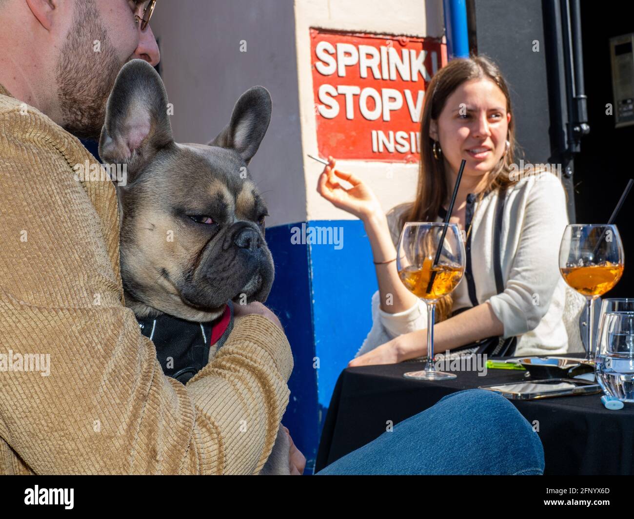 Drinking pals hi-res stock photography and images - Alamy