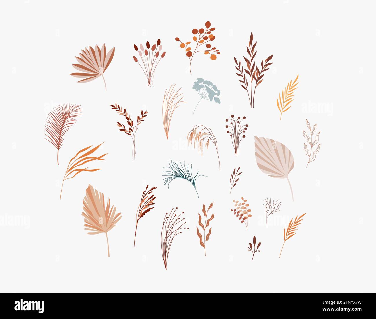 Flowers plants Stock Vector Images - Alamy