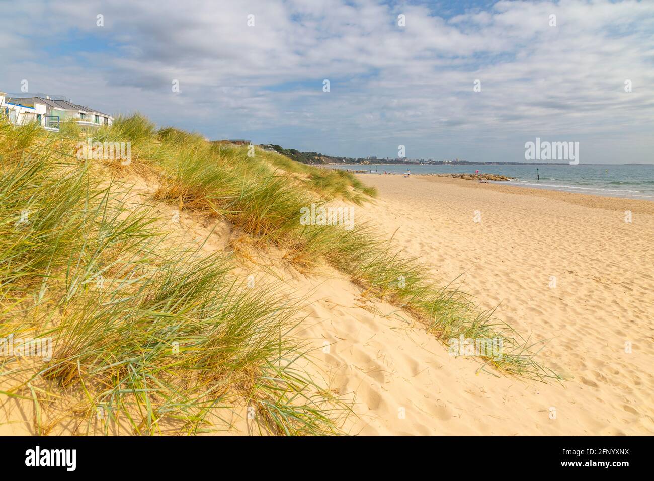 View of Sandbanks Beach in Poole Bay, Poole, Dorset, England, United ...