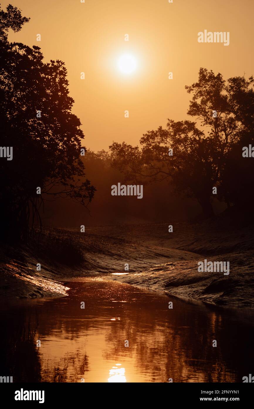 Sunderbans hi-res stock photography and images - Alamy