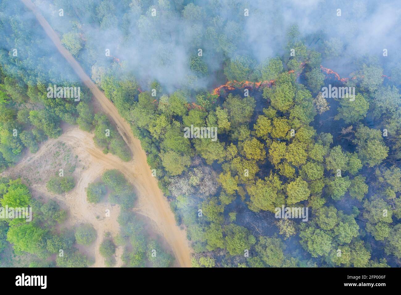 Aerial view with panoramic wildfire is burning trees smoke fire dry ...