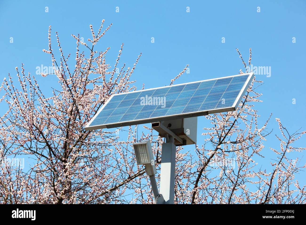 Solar battery against the background of flowering trees and the sky ...