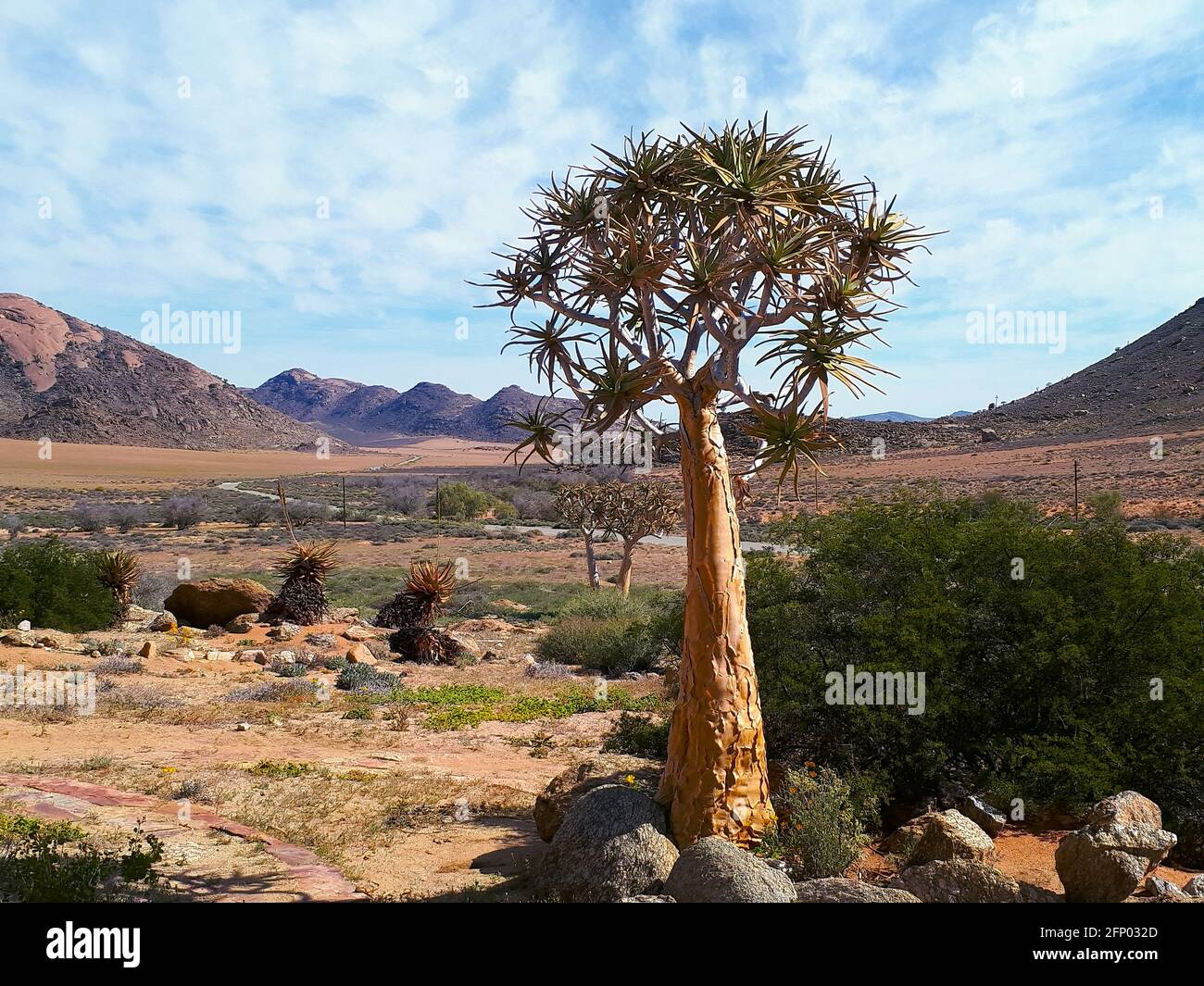 Naturfe hi-res stock photography and images - Alamy