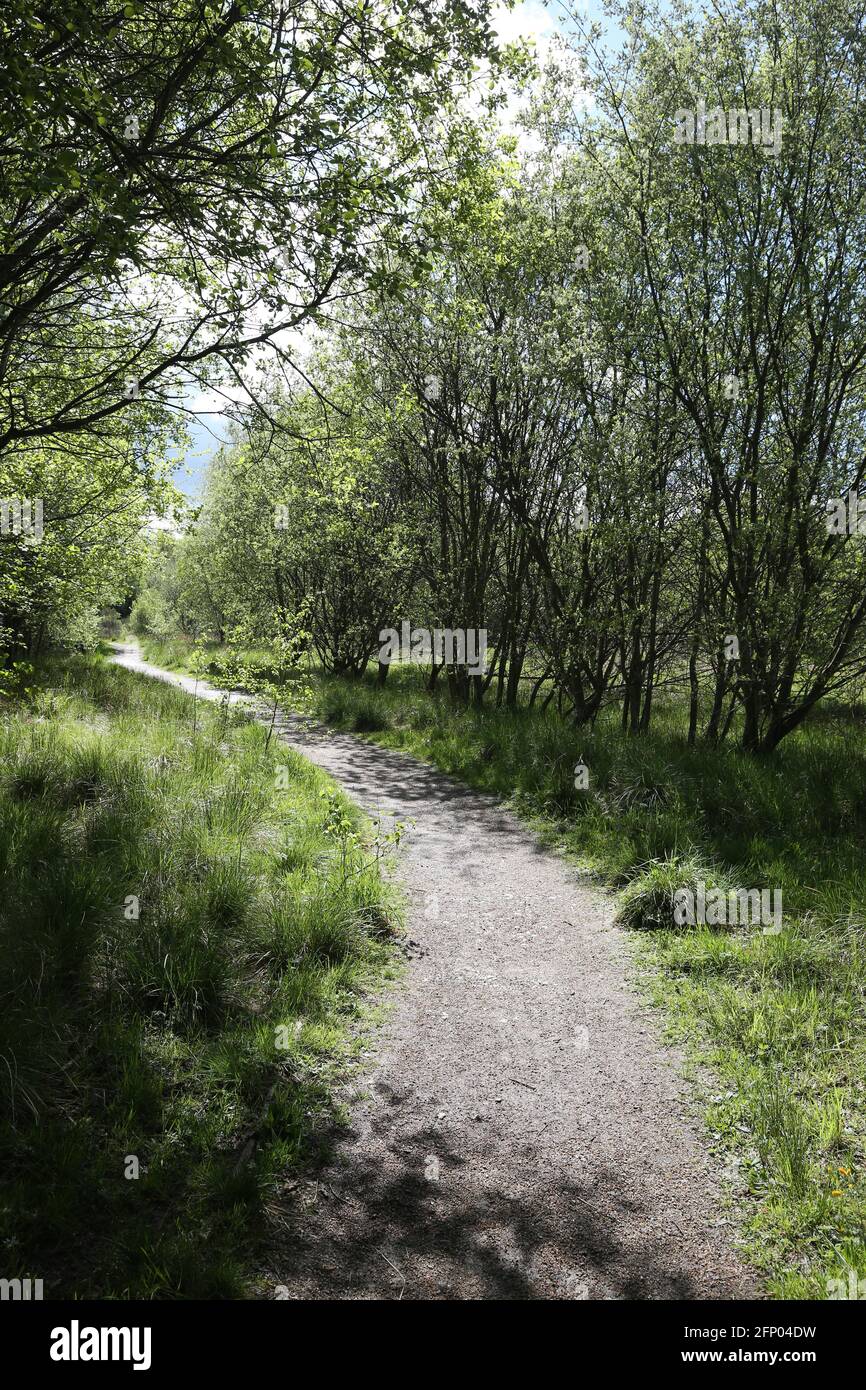 Newshot Island Local Nature Reserve, Erskine, Renfrewshire, Scotland ...