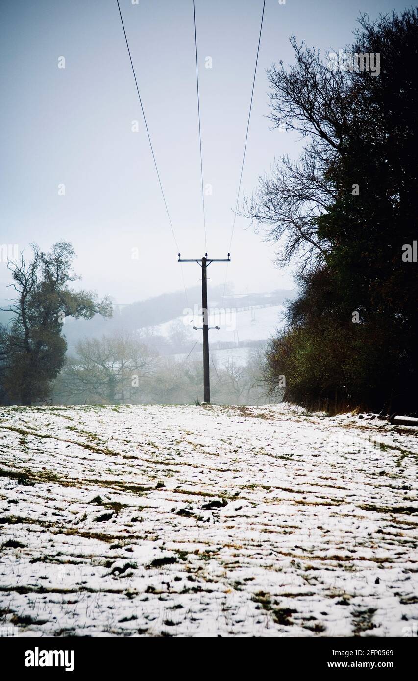 Power lines in the snow Stock Photo - Alamy