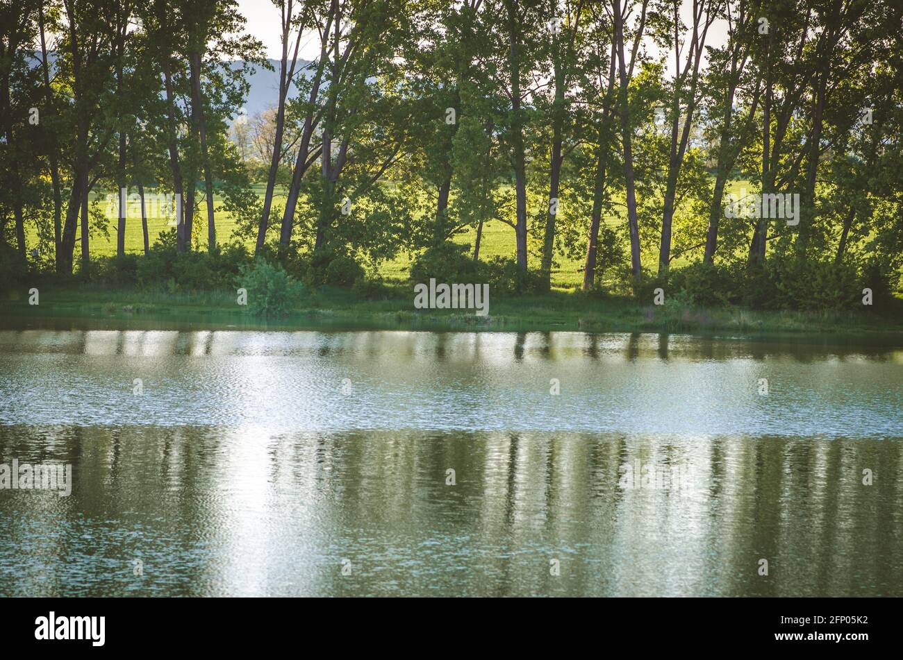 Strand of leaves hi-res stock photography and images - Alamy