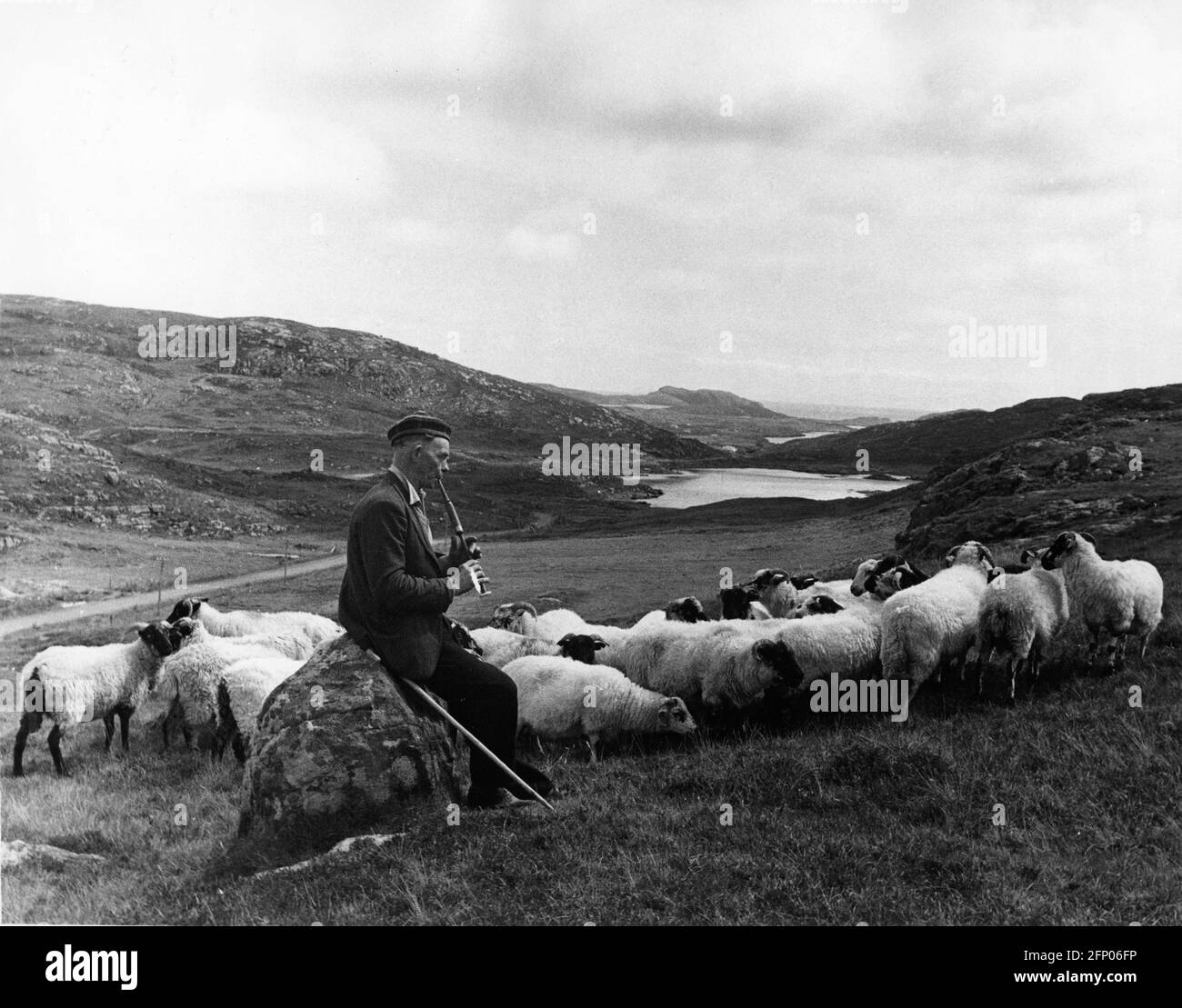 Michael shepherd hi-res stock photography and images - Alamy