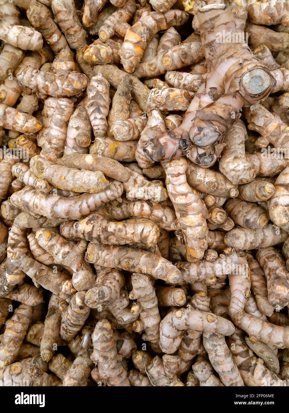 a collection of brown turmeric for cooking photo Stock Photo - Alamy