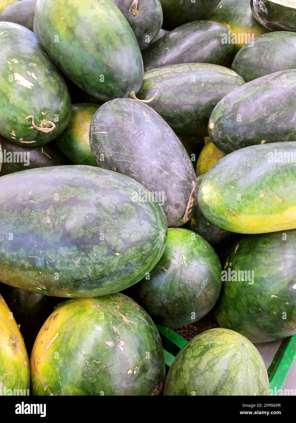 a collection of oval green watermelons photo Stock Photo - Alamy