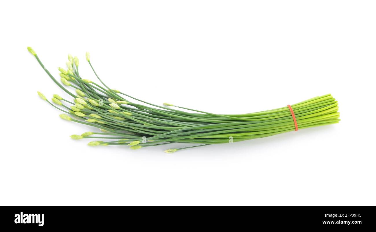 Green spring onion isolated on white background Stock Photo - Alamy