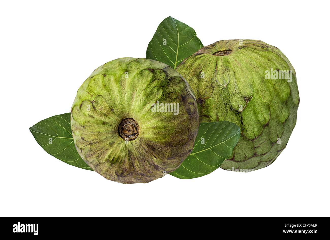 Cherimoya fruit on white background Stock Photo - Alamy