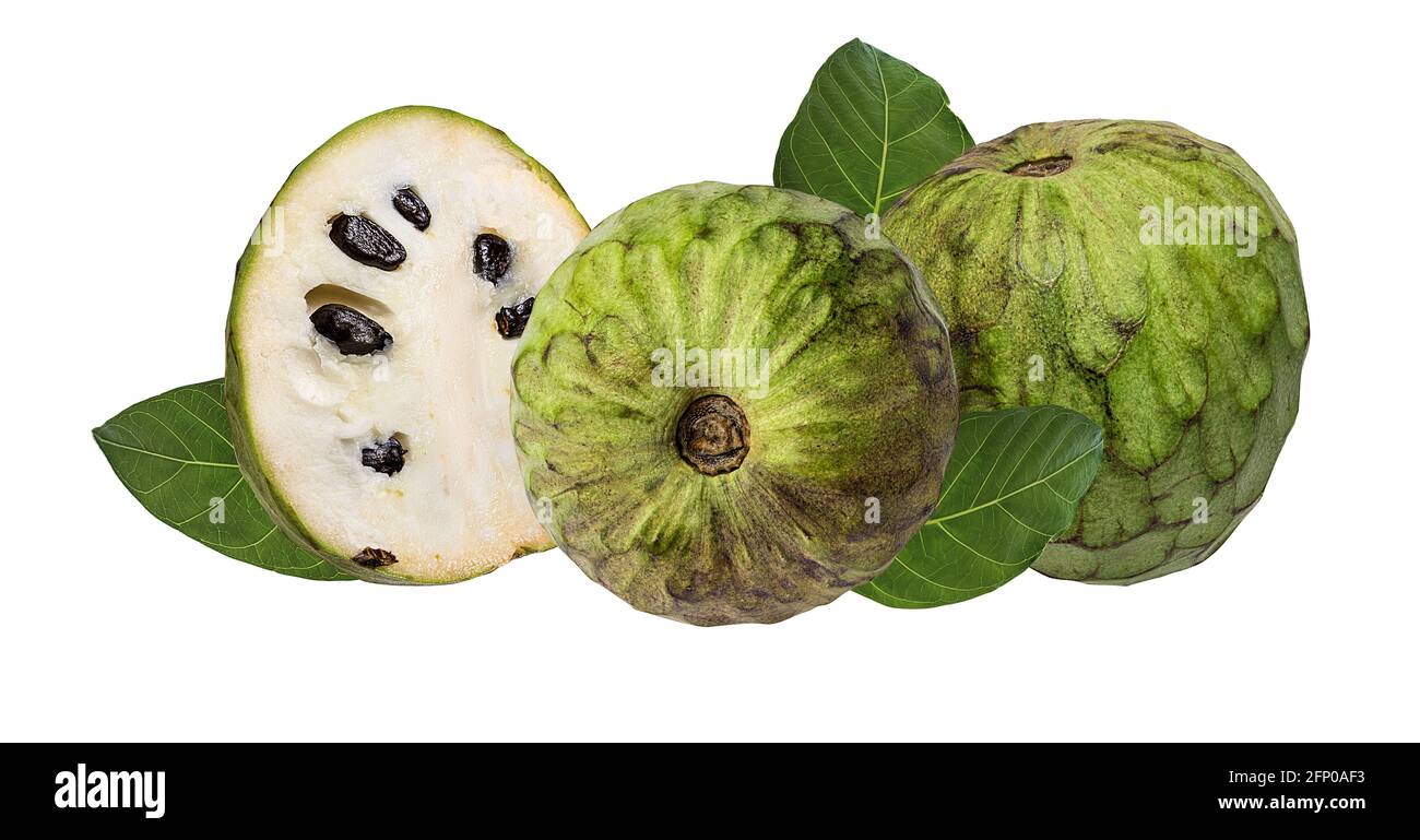 Cherimoya fruit on white background Stock Photo - Alamy