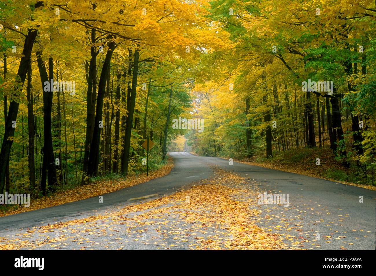 Seasonal change pictures hi-res stock photography and images - Alamy