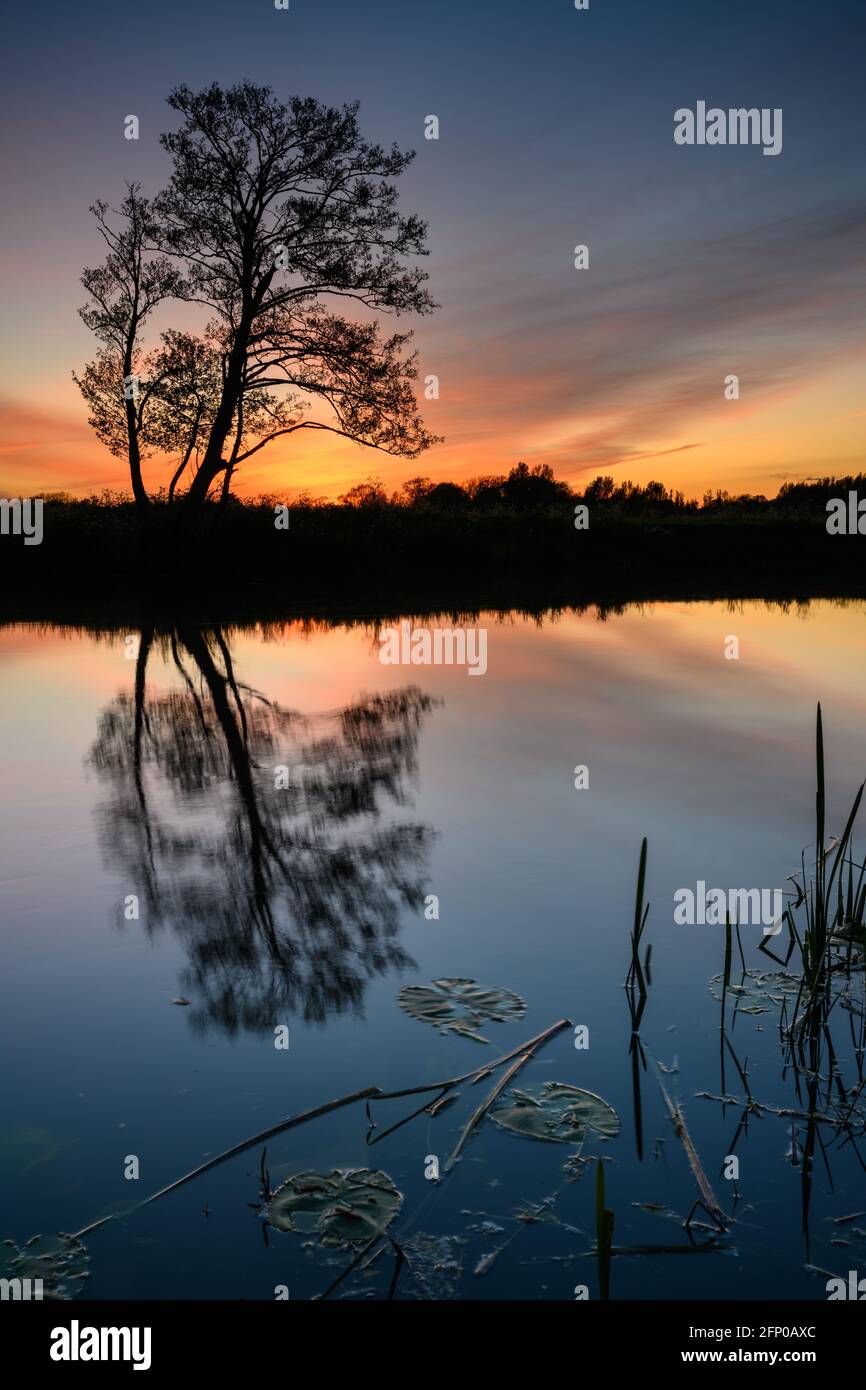 Sunset landscape with tree and river Stock Photo - Alamy