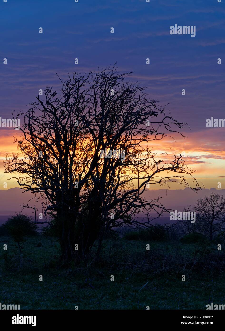 Burrington combe spring hi-res stock photography and images - Alamy